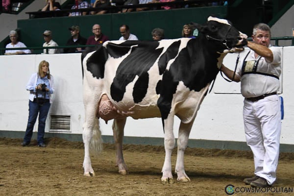 Midwest Fall National Holstein Show 2018