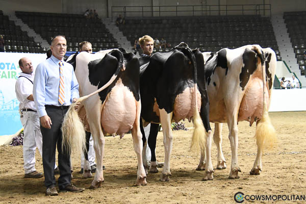 Midwest Fall National Holstein Show 2018