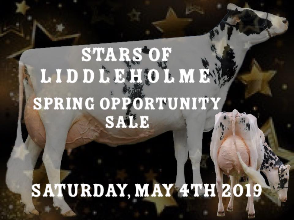 NY Spring Dairy Carousel 2019 - Cowsmo