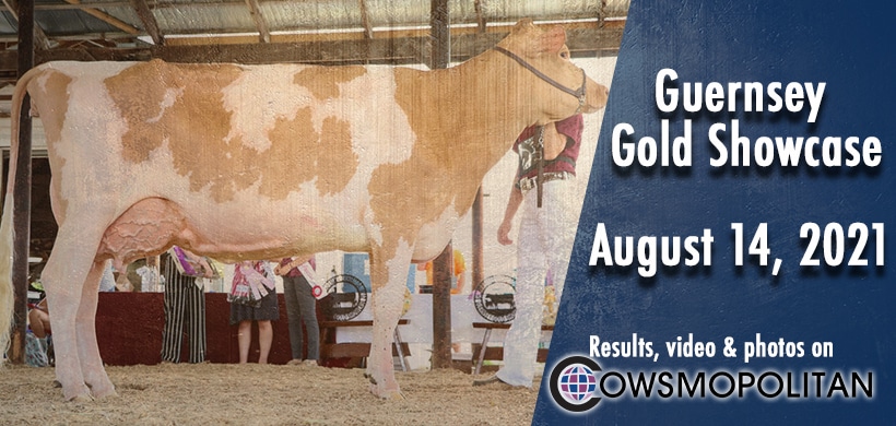 Cowsmopolitan Dairy Magazine | Dairy Industry News, Shows, Sales & More