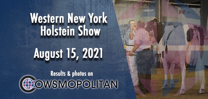 Cowsmopolitan Dairy Magazine | Dairy Industry News, Shows, Sales & More